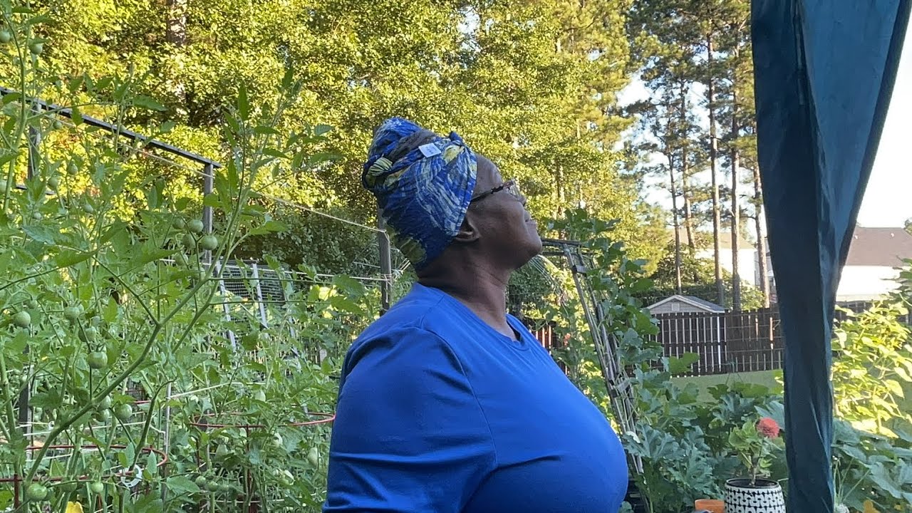 Ms. Tish is live! This is unusual……..the weather! #gardenerlife # ...