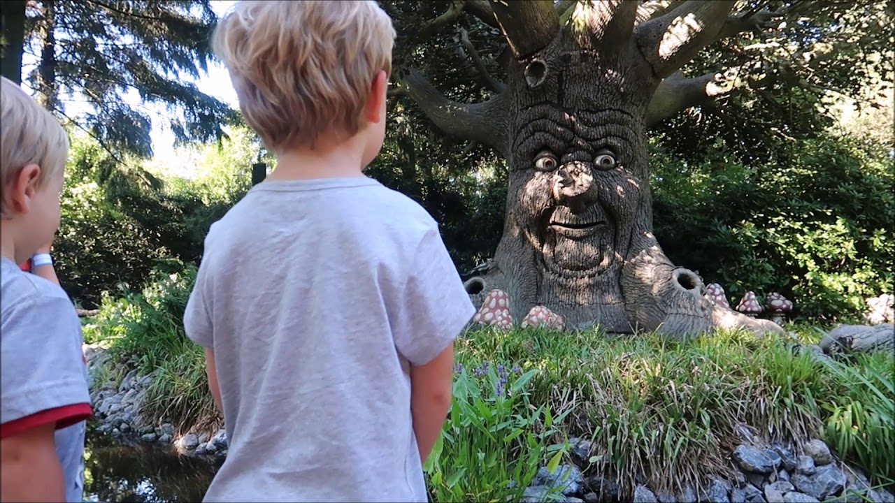 Nature comes to life: The Talking Tree - Sprookjesboom - YouTube
