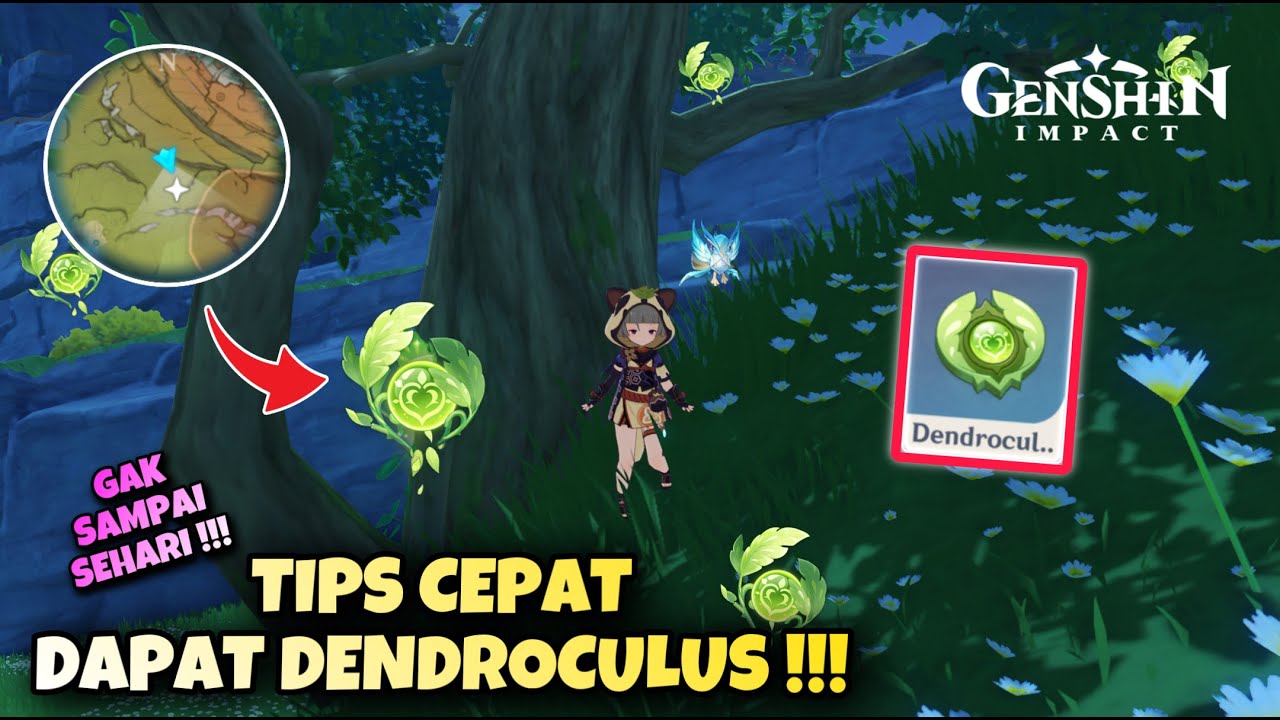 CUMA SEHARI !! TIPS CEPAT MENCARI DENDROCULUS & FUNGSI DENDROCULUS ...