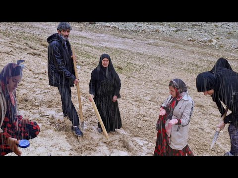 The presence of the master in heavy rain, building a dirt staircase for the pregnant woman's cave