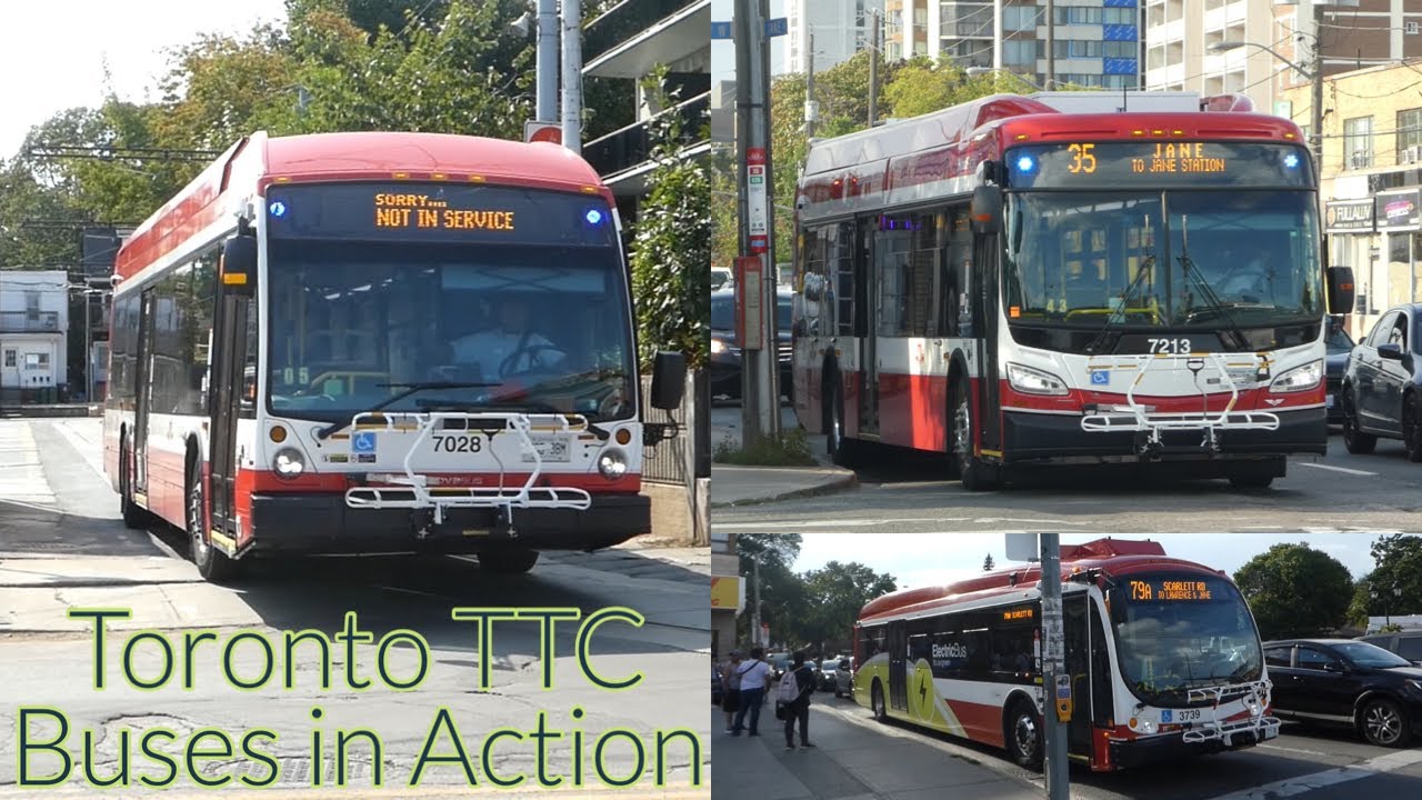 Toronto TTC Buses in Action August - September 2023 - YouTube