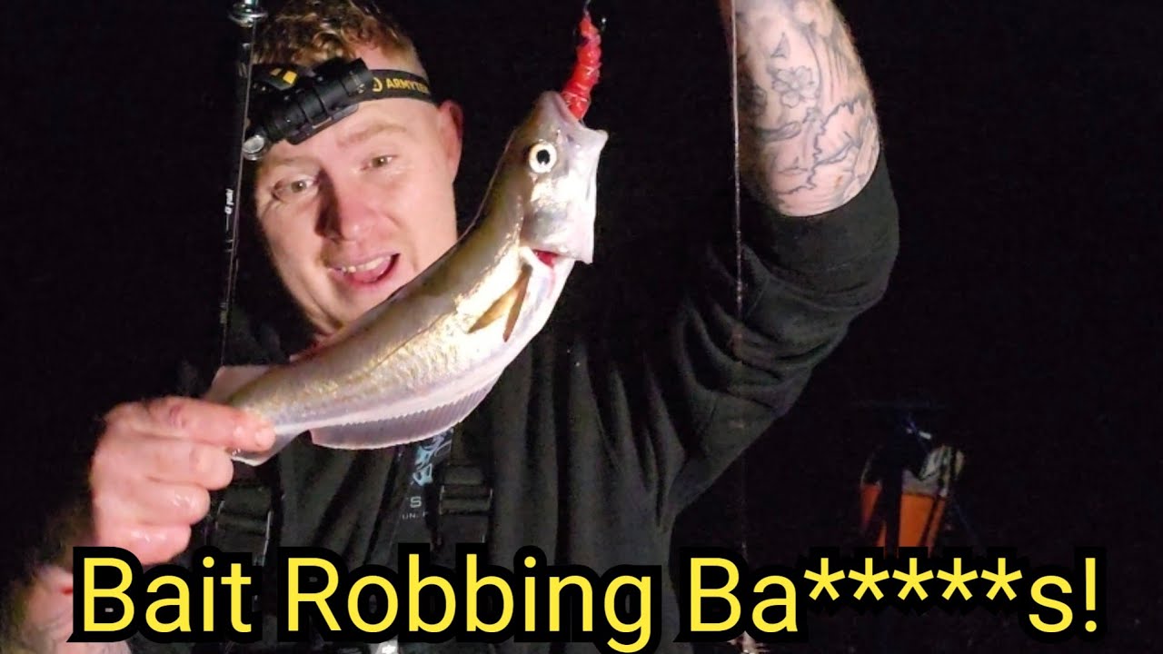 BOXING DAY BAIT ROBBERS | MUST WATCH Mostyn Sea Fishing UK - YouTube