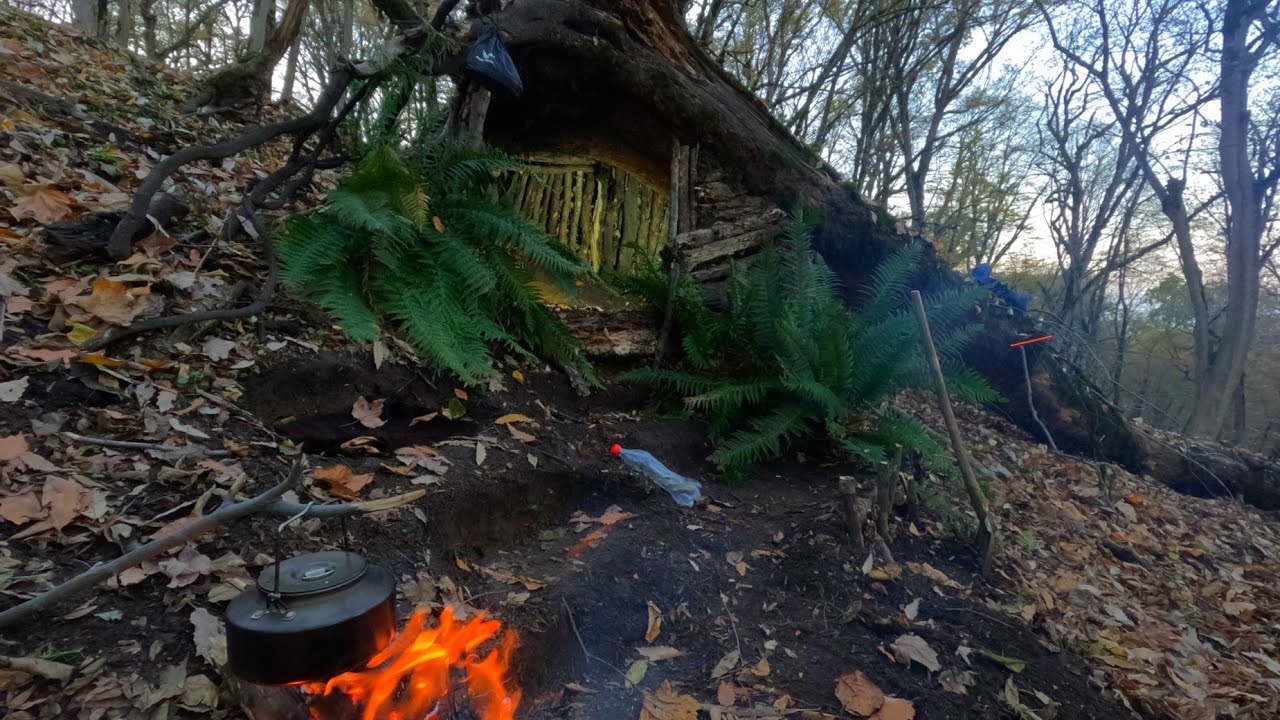Building a Warm and cozy Survival hut, at the roots of a fallen oak ...