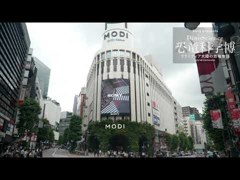 DIGITAL SIGNAGE IN TOKYO & YOKOHAMA, JAPAN - YouTube