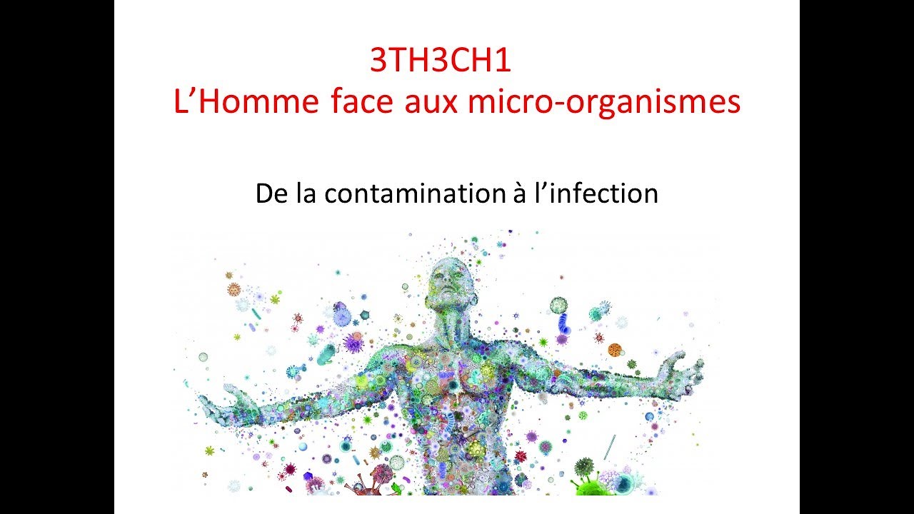 3TH3CH1 L'Homme face aux micro organismes De la contamination à l ...