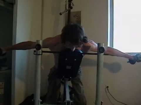 Wheelchair style- Reverse Flyes-Bent over Lateral Raises for Rear ...