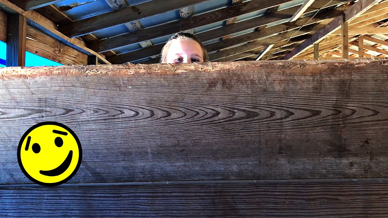 Is That Wilson From Tim the Tool Man Taylor ? 😋🙃 - YouTube