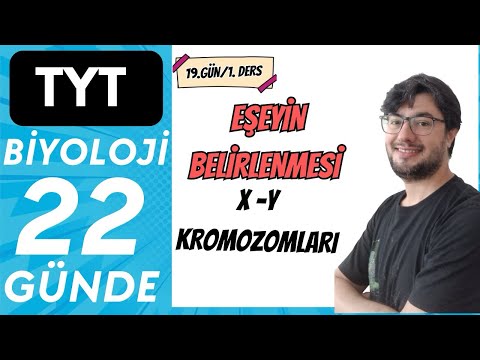 X ve Y'ye Bağlı Kalıtım Konu Anlatımı | 22 GÜNDE TYT BİYOLOJİ KAMPI | 2026-27 | 19. Gün 1. Ders