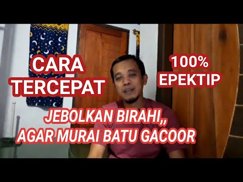 cara cepat jebol birahi murai batu supaya  ngeplong dan gacor