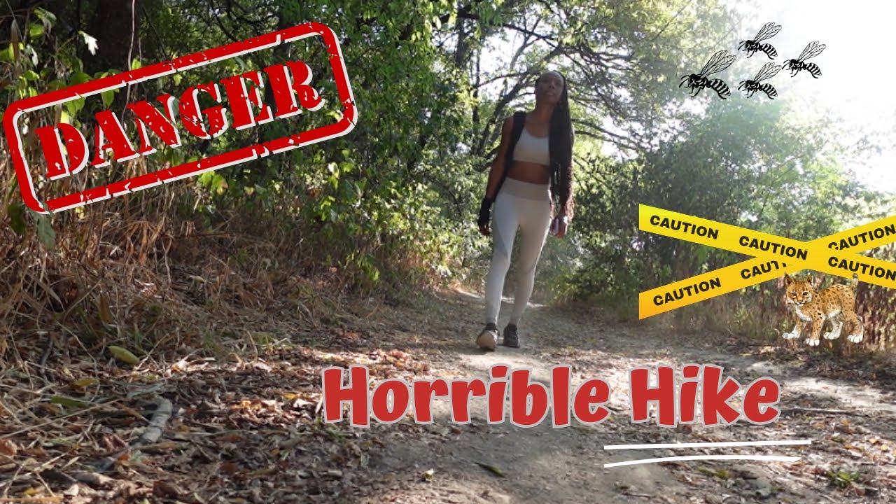 Van Life: Horrible Hike | I Chose The Wrong Trail - YouTube