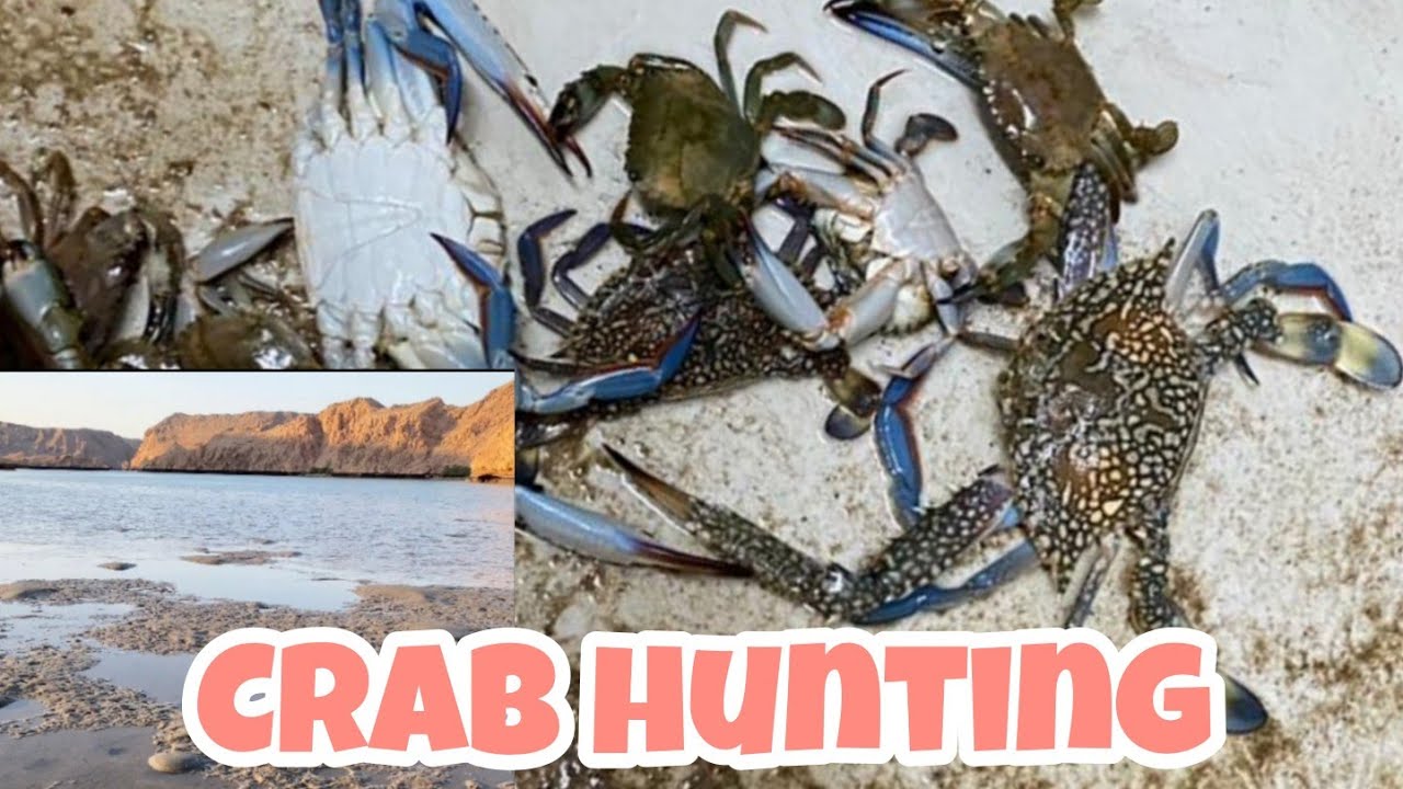 CRAB HUNTING - YouTube