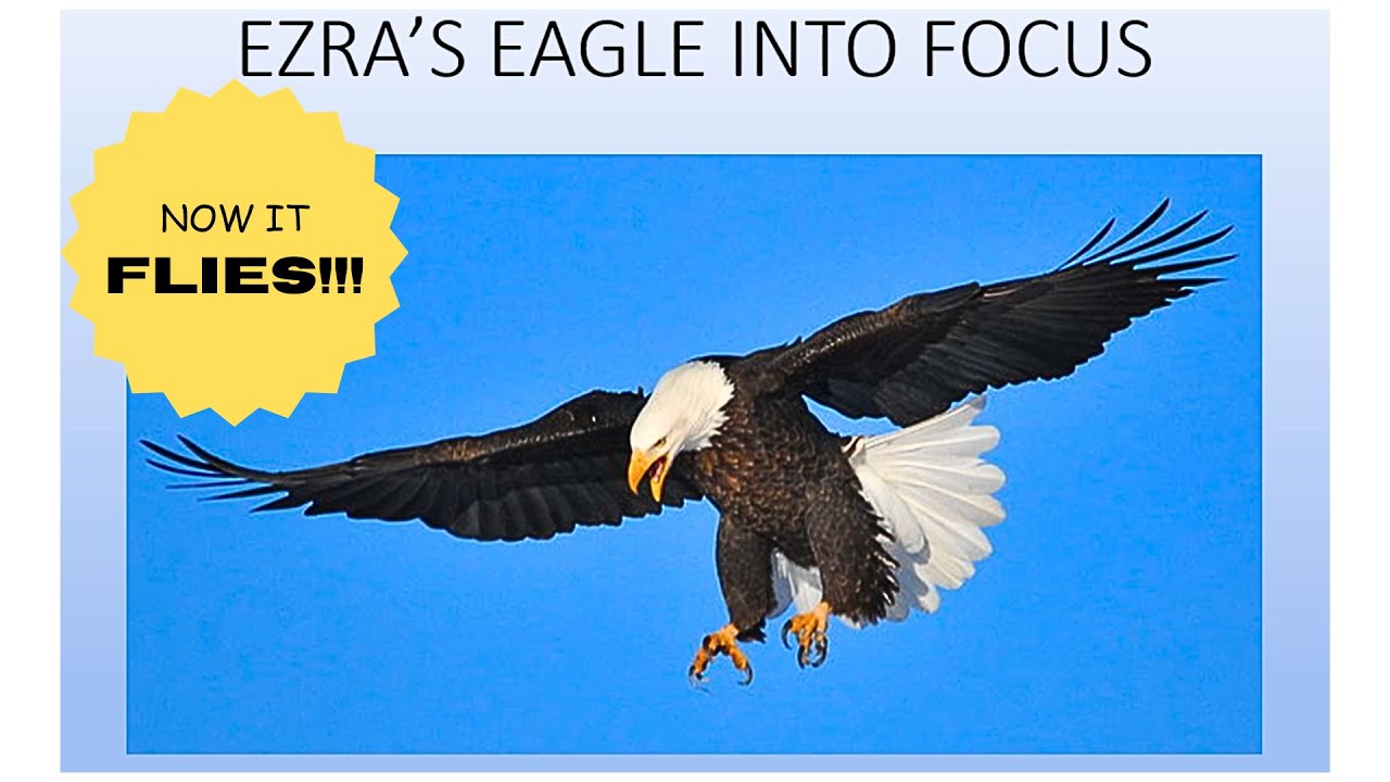 Ezra’s Eagle into focus Update February 2025 - YouTube