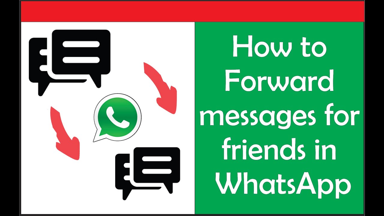 Forward messages for friends in WhatsApp: How to forward WhatsApp ...