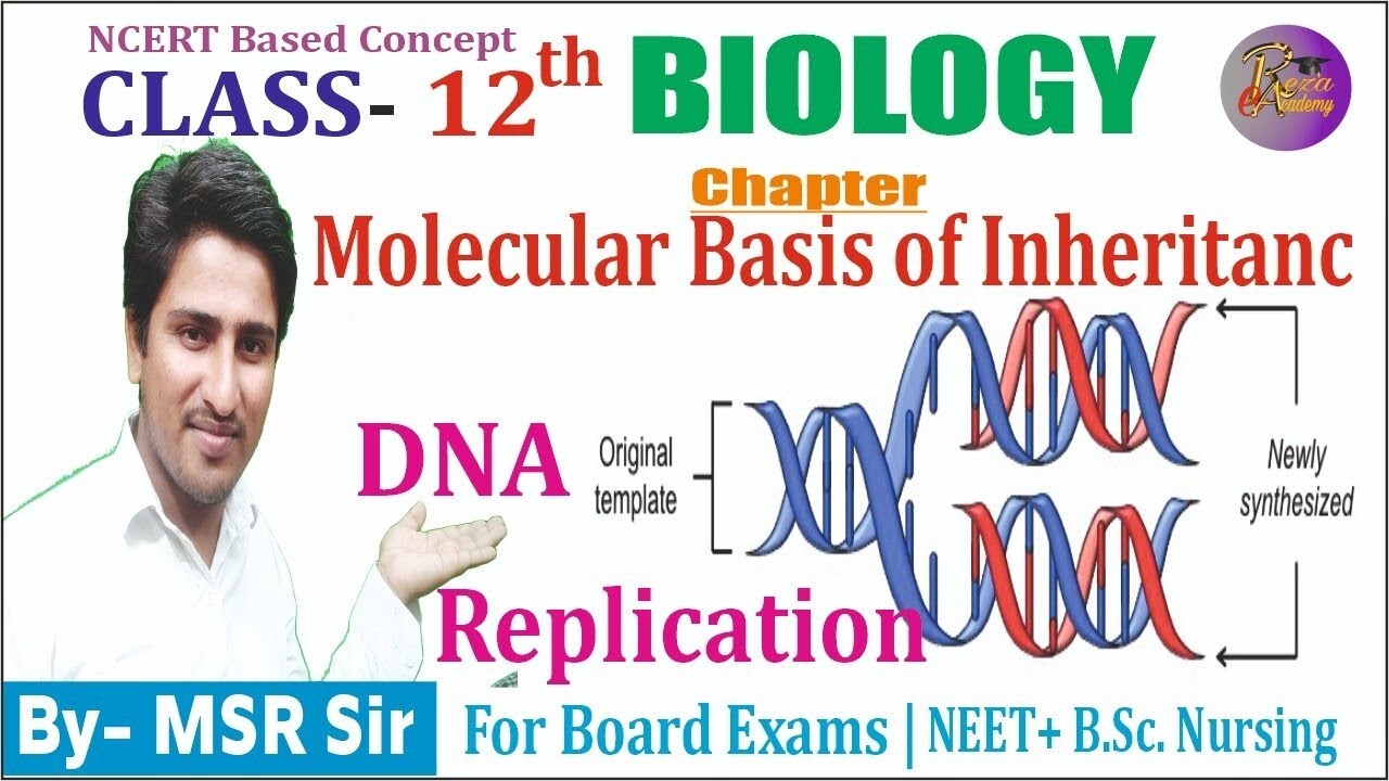 DNA Replication | Biology Class 12 Chapter- 06 Molecular Basis of ...