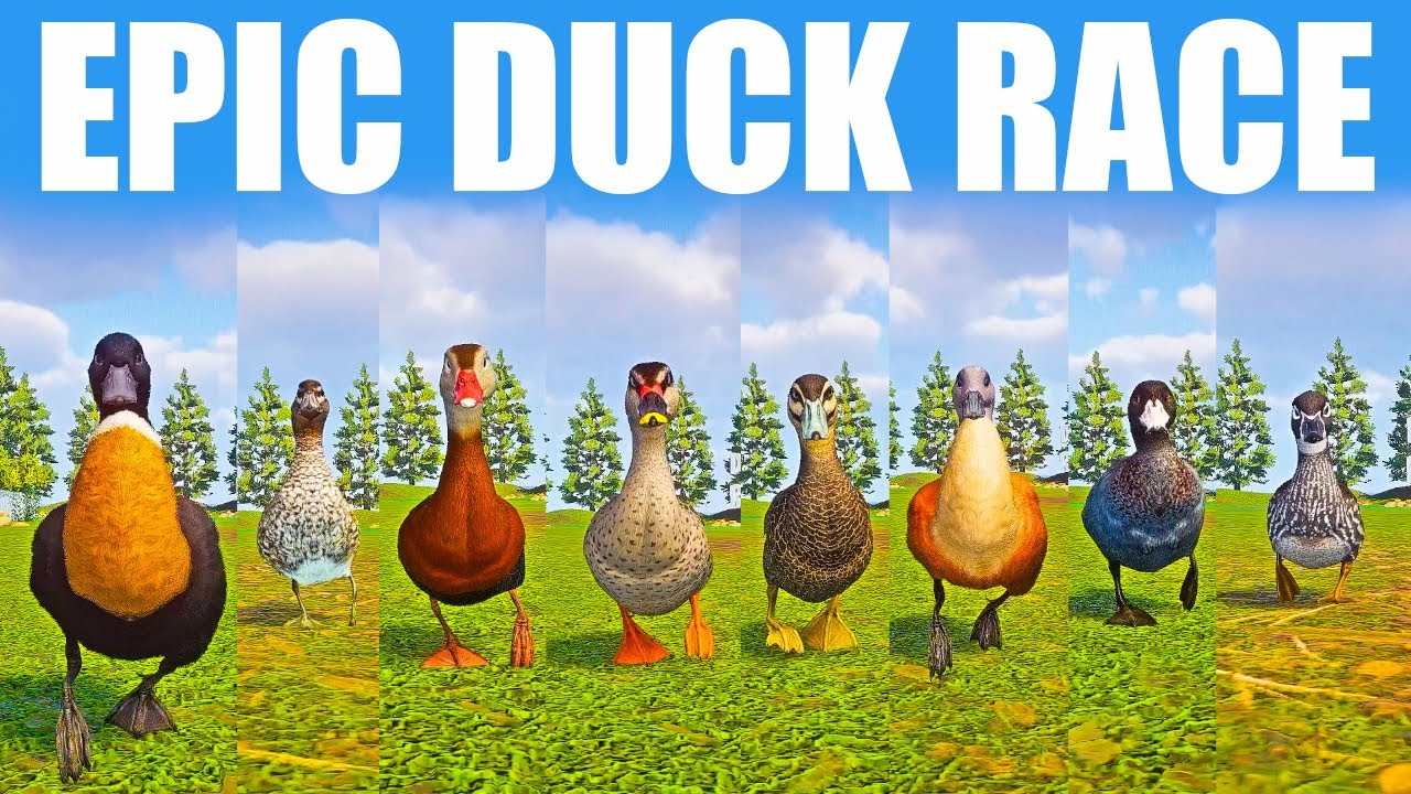 Ultimate Epic Duck Category Speed Race in Planet Zoo included Whio ...