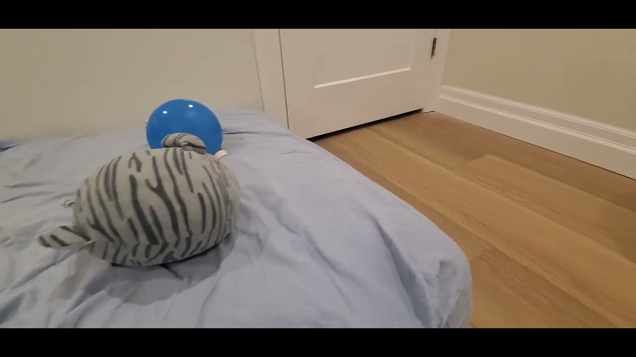 Bye Bye Easter Bunny - YouTube