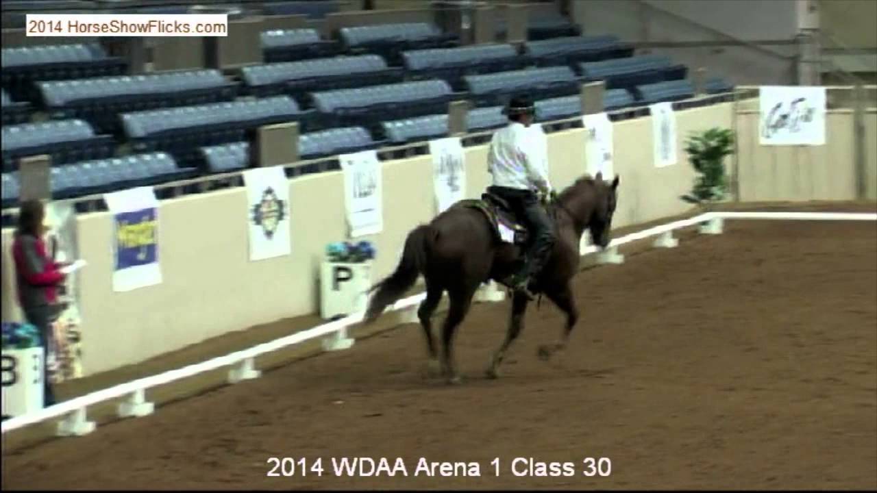 Western Dressage, 2014 level 3 test 3, WDAA Championships Tulsa - YouTube