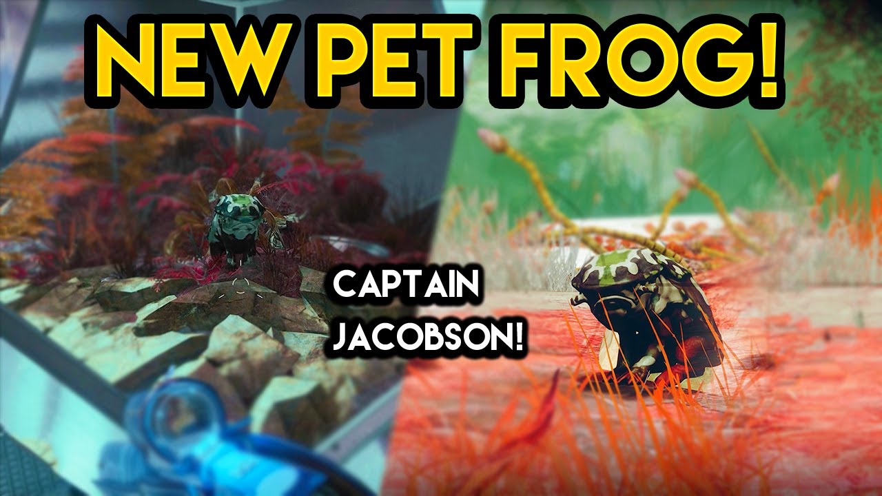 Destiny Has Pets Now! (And You Can Pet it) - YouTube