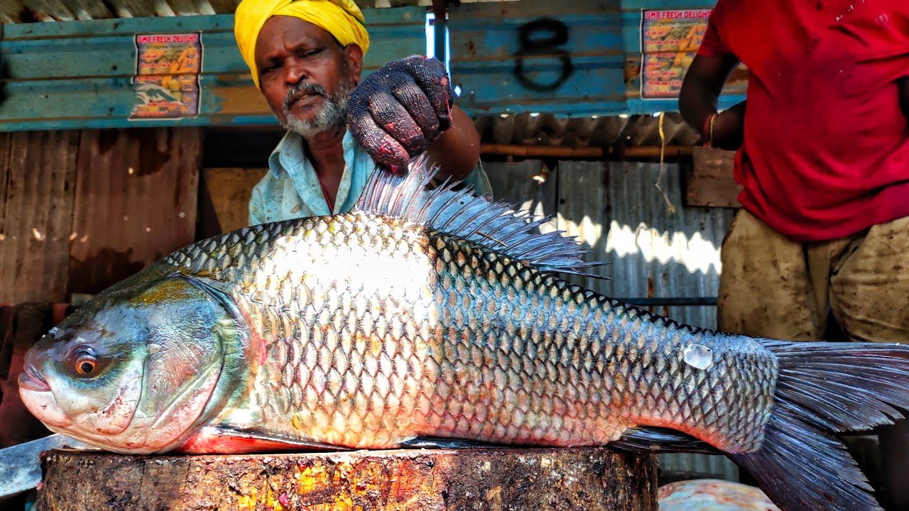 KENDA FISH🔥CUTTING BY THANDABANI /KASIMEDU FISH CUTTING/SEAFOOD/FAST ...