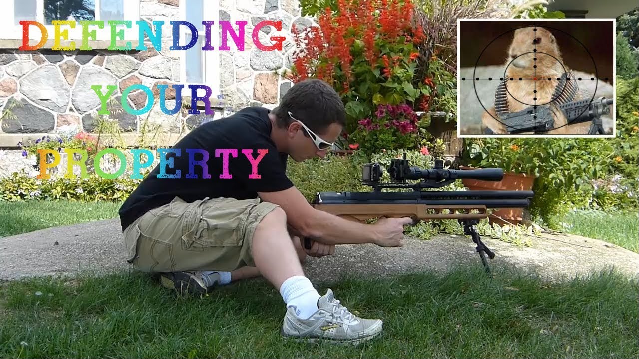 Defending your property meme - YouTube