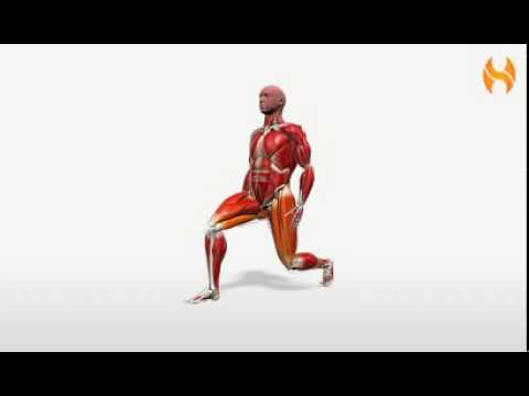 Exercise Videos- Forward Lunge - YouTube