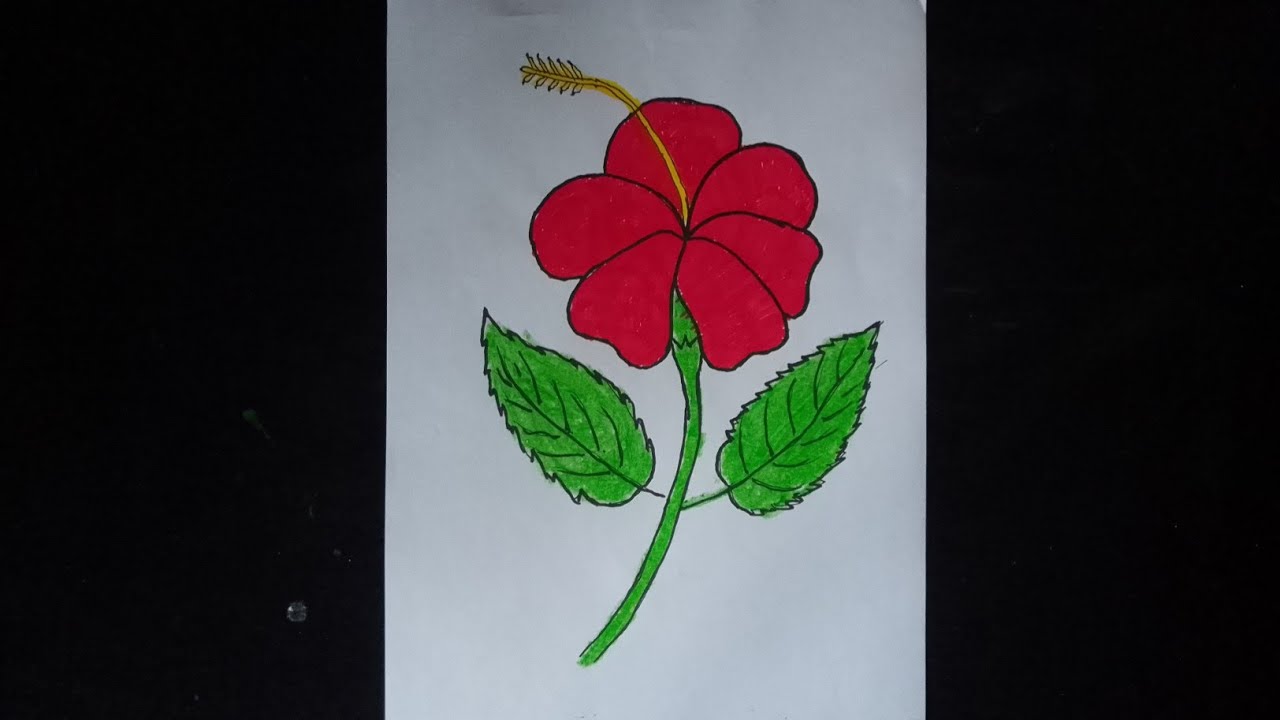 How To Draw china rose - YouTube
