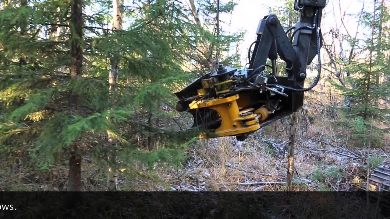 TMK Tree Shear with collector - YouTube