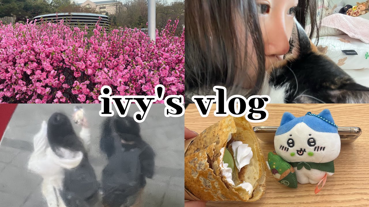 ivy’s vlog🍓 (여름 끝자락에 올리는 봄 영상) - YouTube