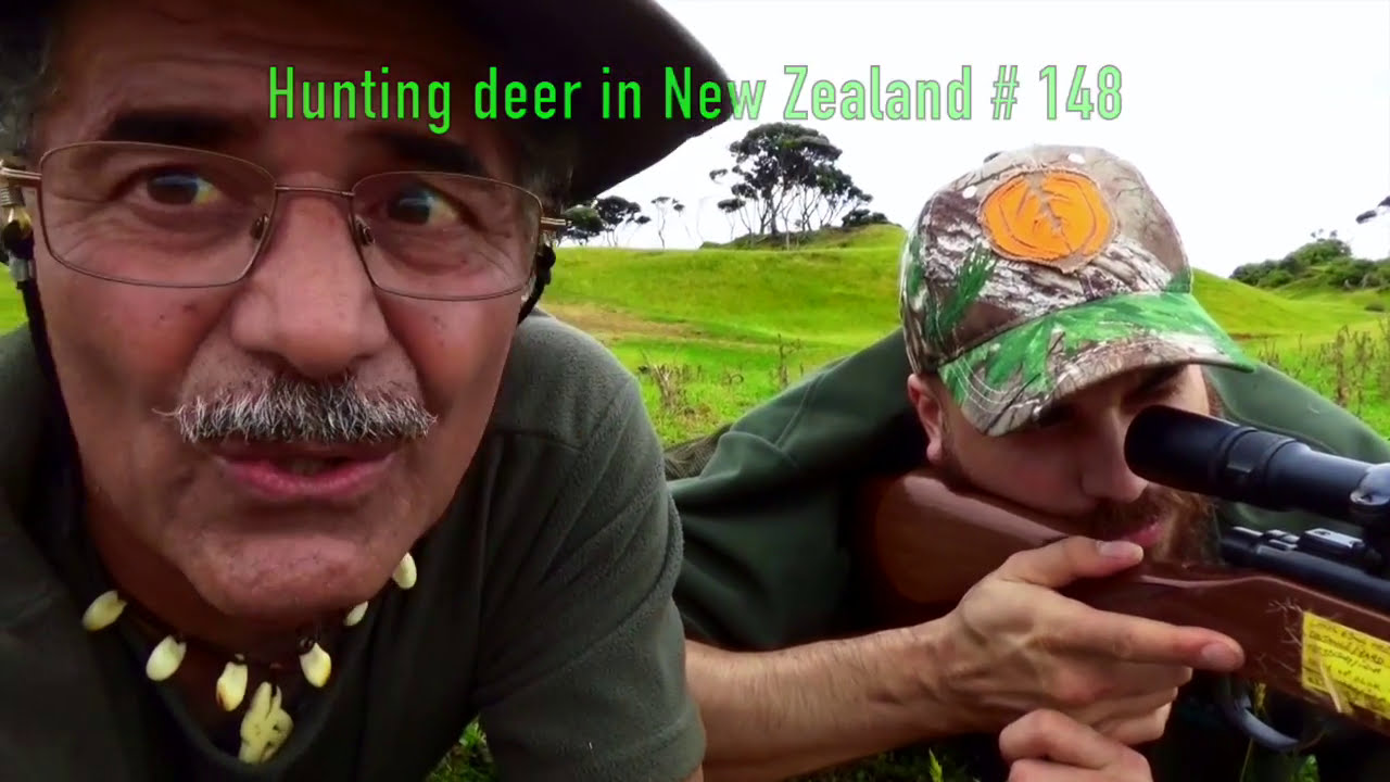 Hunting deer with 22-250 and 243 rifles for venison recovery in New ...