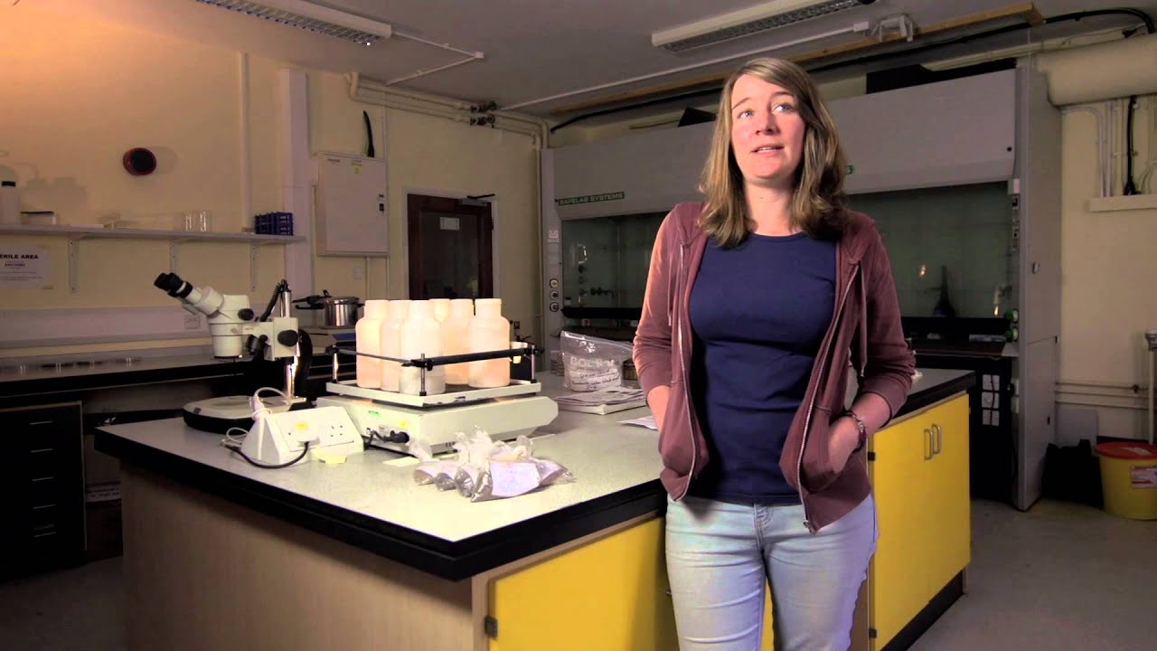 Scopus Young Researcher Awards UK, Arts & Humanities: Jennifer Watling ...