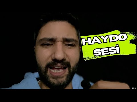 Haydo Sesi