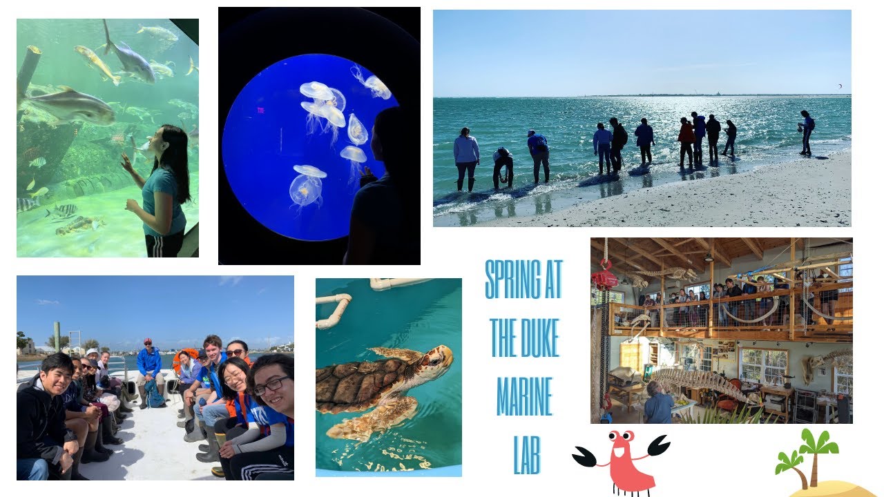 Spring Breakthrough'22 at the Duke Marine Lab - YouTube
