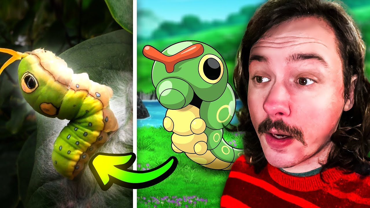 The Real Bugs Behind Kanto Pokémon! - YouTube