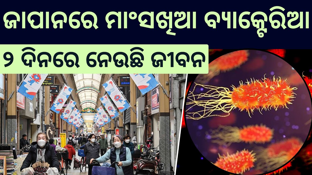 Japan Flesh Eating Bacteria | STSS Bacteria That Kills In 48 Hours ...