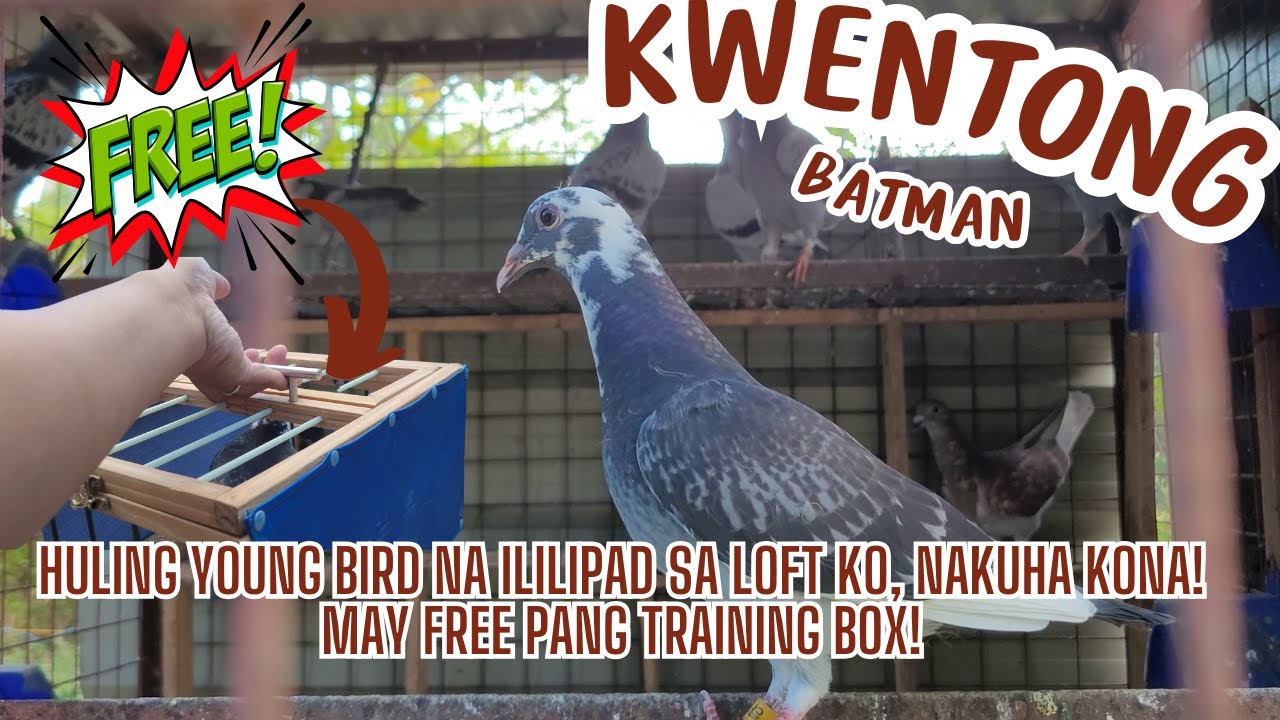 kWENTONG BATMAN - Kalapati Vlogs ep.17 - YouTube
