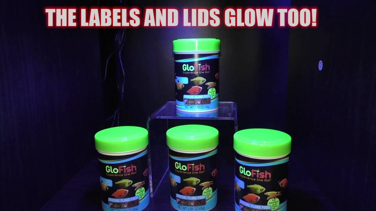 GloFish Food - YouTube