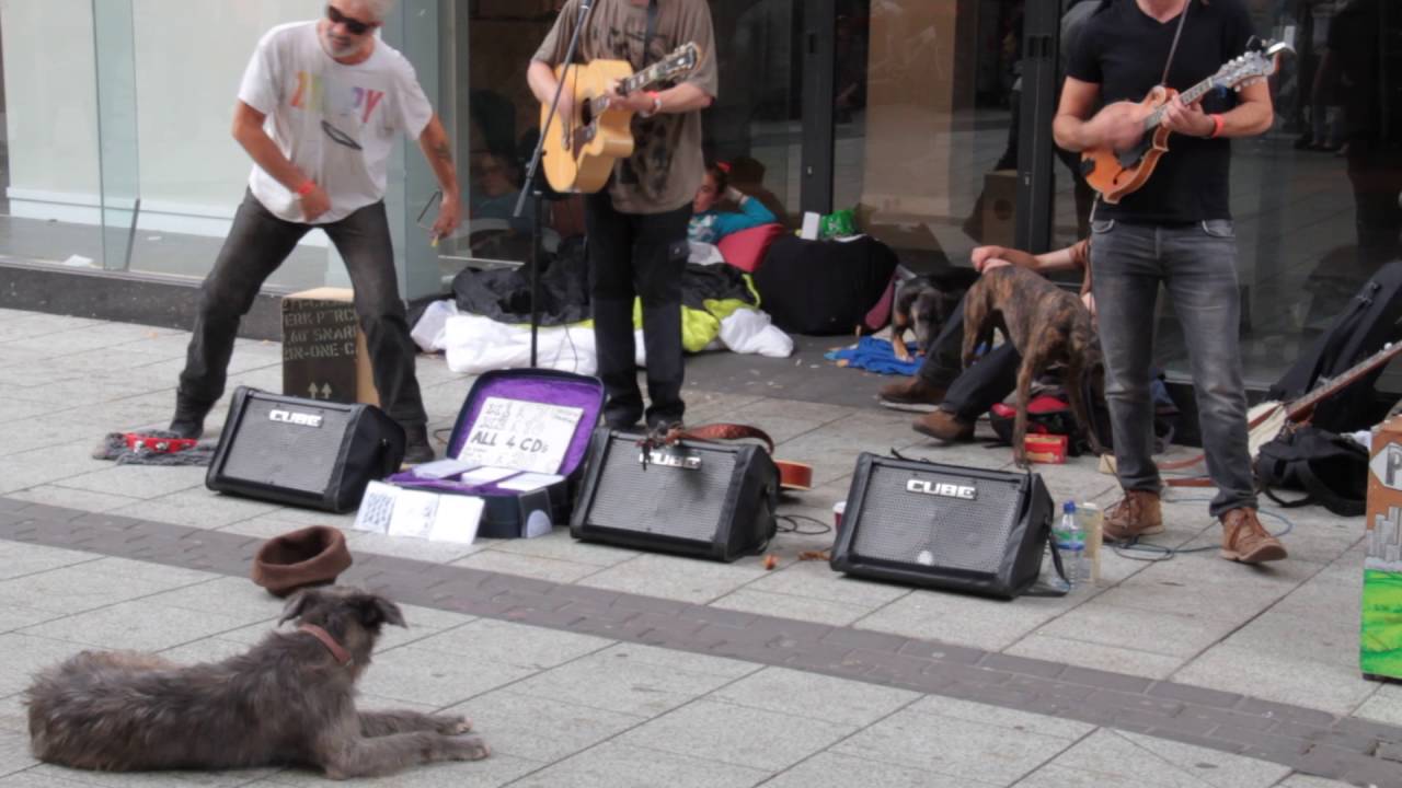 cardiff buskers with dogs - YouTube