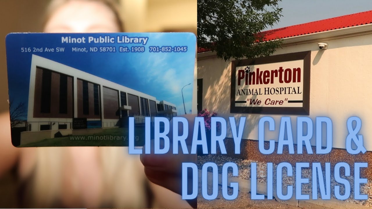 Getting my Library Card and Dog License in Minot, North Dakota! - YouTube