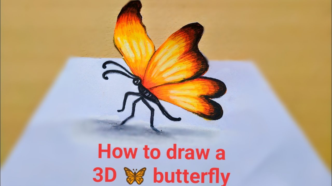 How to draw 3D Butterfly. - YouTube