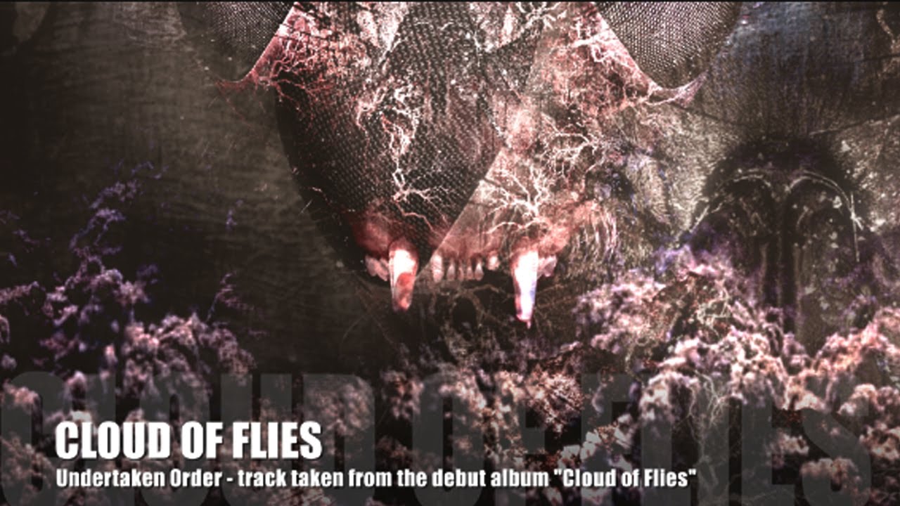 Cloud of Flies - Undertaken order - YouTube