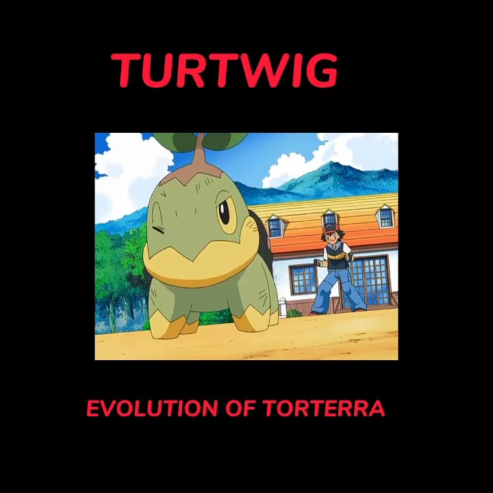 EVOLUTION OF TORTERRA 🔥 - YouTube