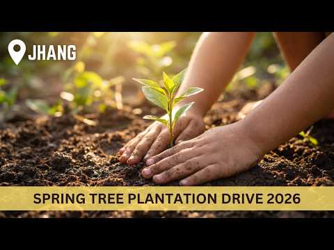 Spring Tree Plantation Drive in Jhang | F&W, Punjab