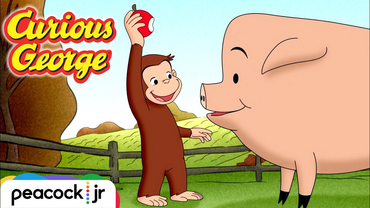 How to Train Your Hog | CURIOUS GEORGE - YouTube