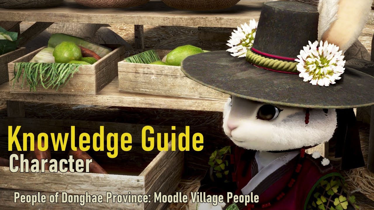 Black Desert Online Knowledge Grinding | People of Donghae Province ...