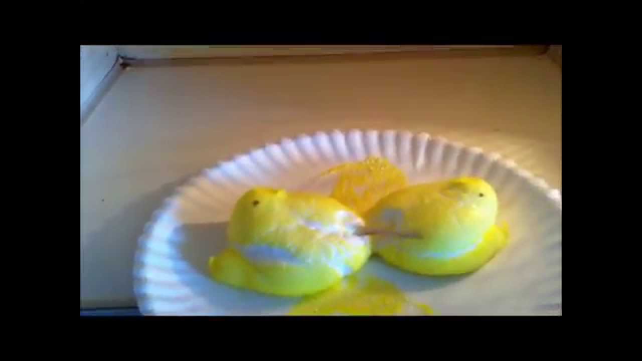 Peep Jousting - YouTube