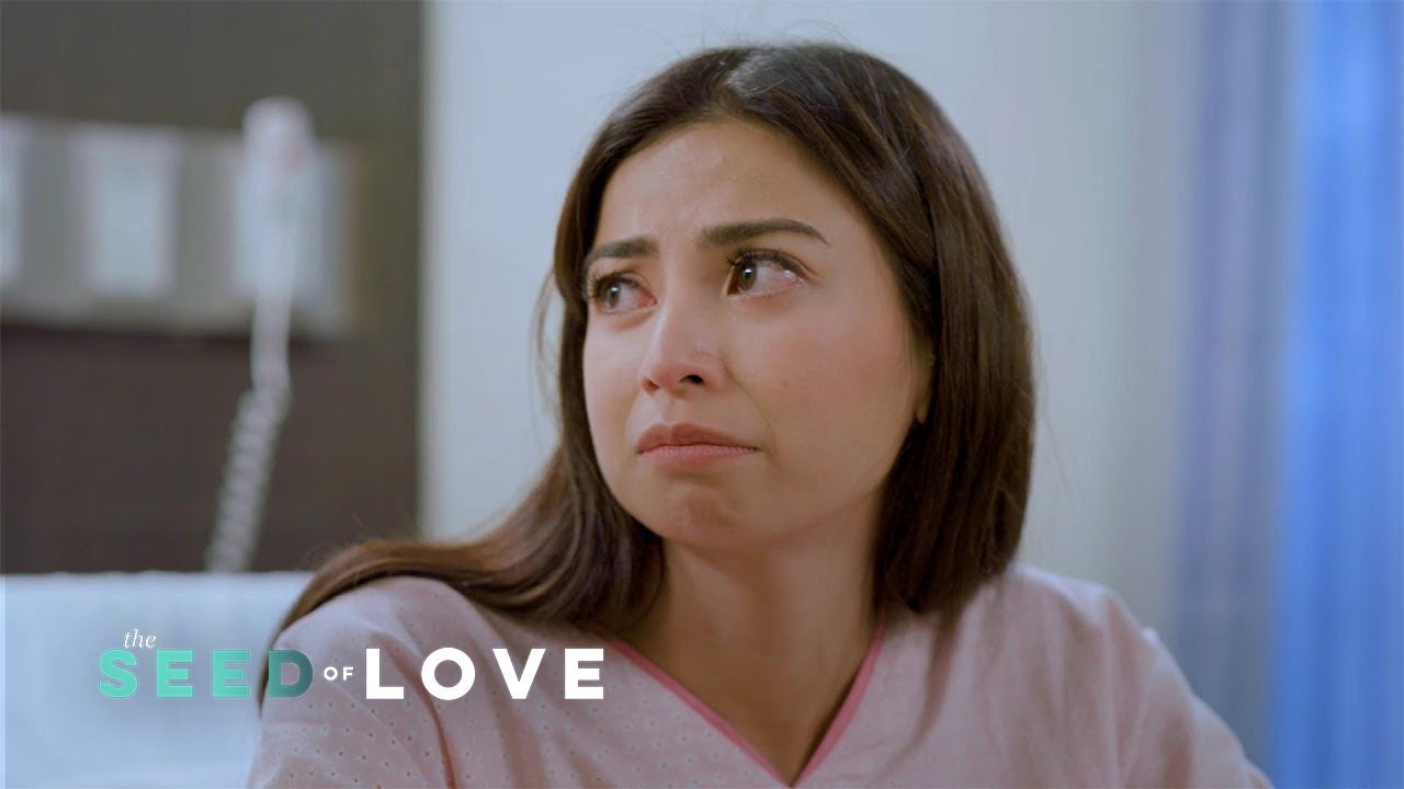 The Seed of Love: Eileen gets overly attached to her ex-husband's son ...