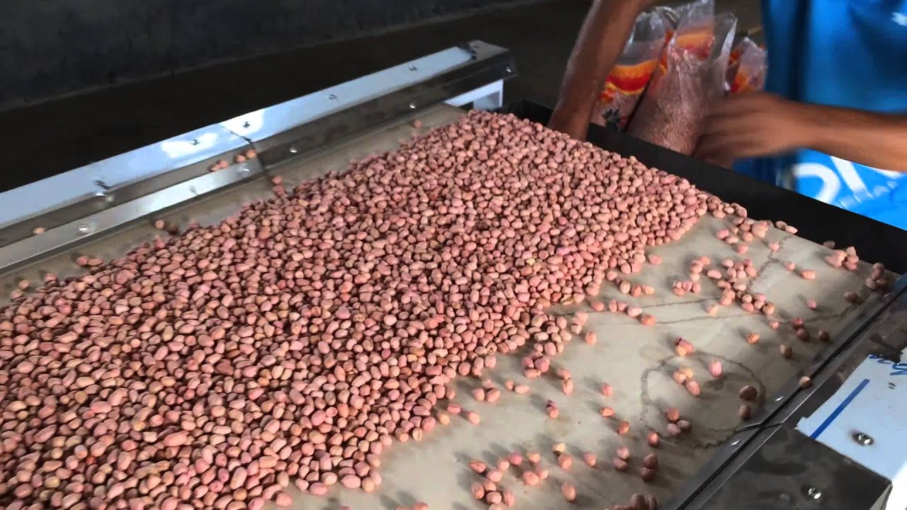 color sorter-peanuts kernel sorting - YouTube