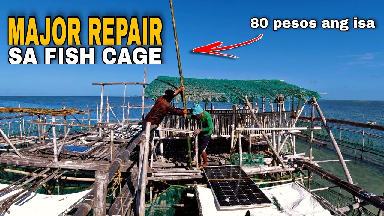 Major Repair sa aming Fish Cage sa Botigues Island - YouTube