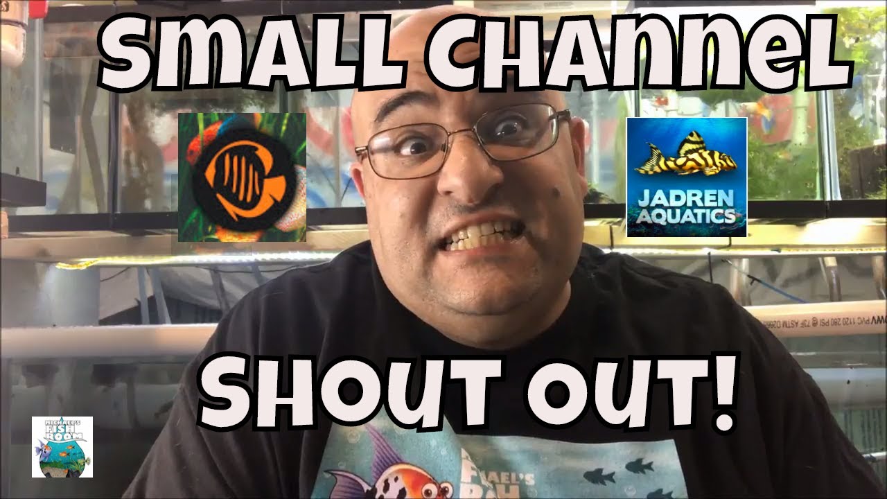 #Fishfam Channel Spotlight! Great small YouTube Channels you should be ...