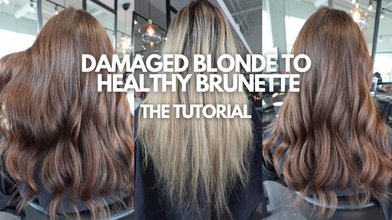 Damaged Fried Blonde to Healthy Golden Brunette - how protein destroyed ...